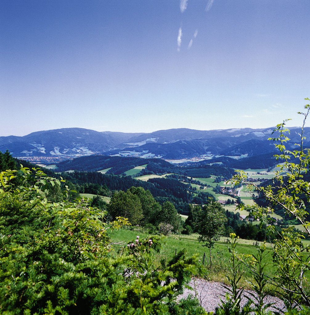 3 Sterne S Hotel & Restaurant Sonne in Kirchzarten im Schwarzwald ...