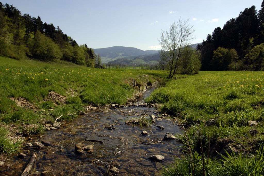 Zimmer & Suiten in Kirchzarten im Schwarzwald buchen - Hotel ...